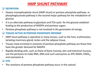 Carbohydrate metabolism b.pharm | PPTX