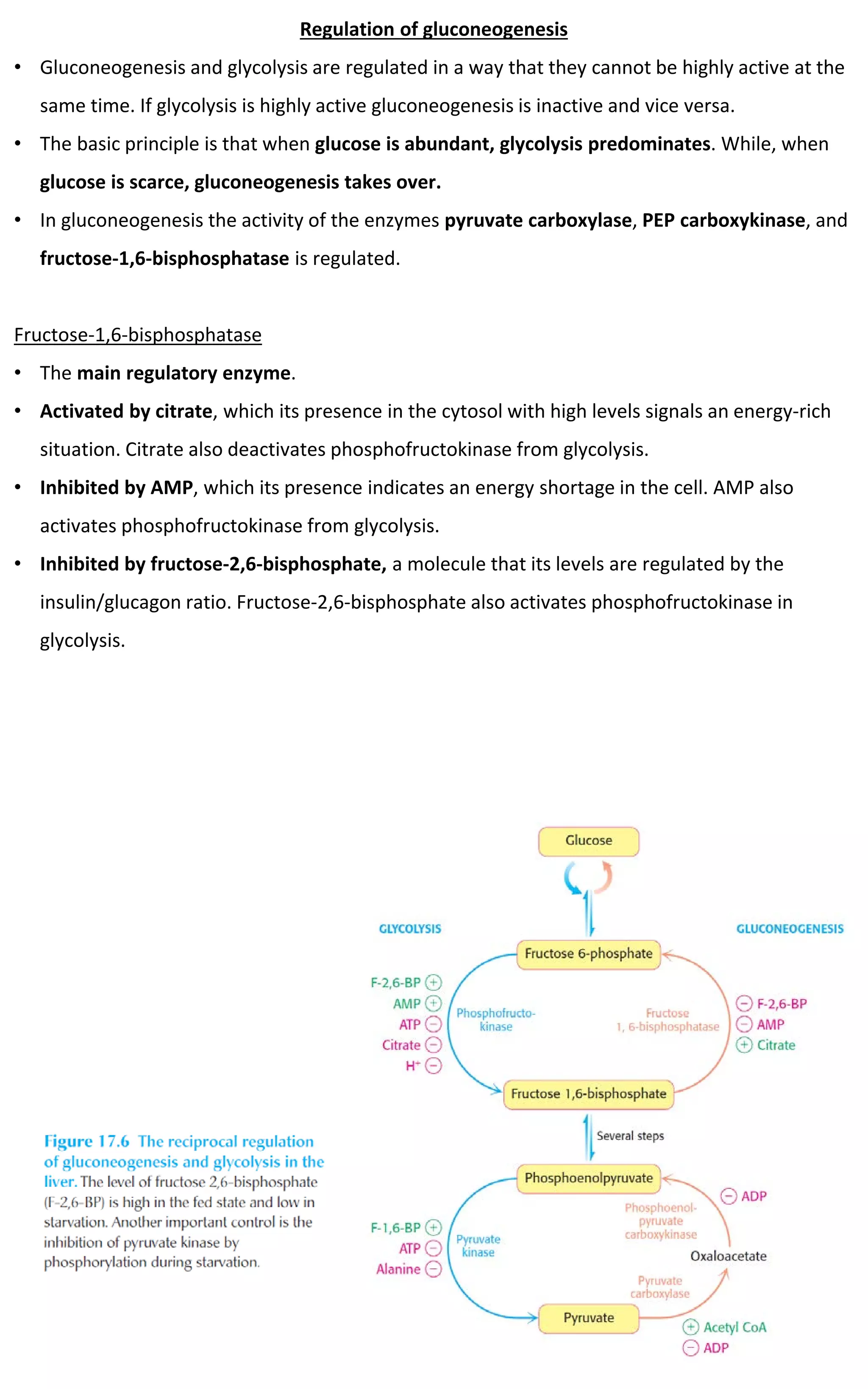 Carbohydrate metabolism final questions (3).pdf