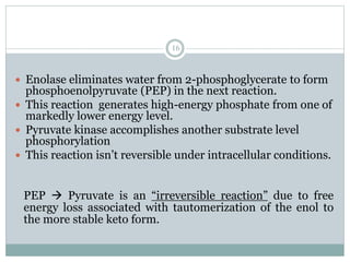 Carbohydrate Metabolism (Glycolysis).pptx