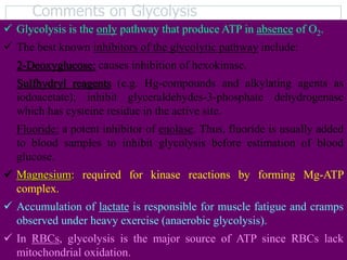 Carbohydrate Metabolism (Glycolysis).pptx