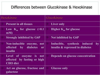 Carbohydrate Metabolism (Glycolysis).pptx