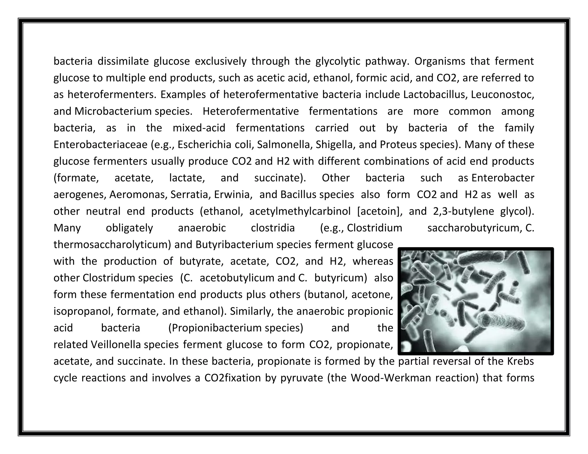 Carbohydrate metabolism in Bacteria.pdf