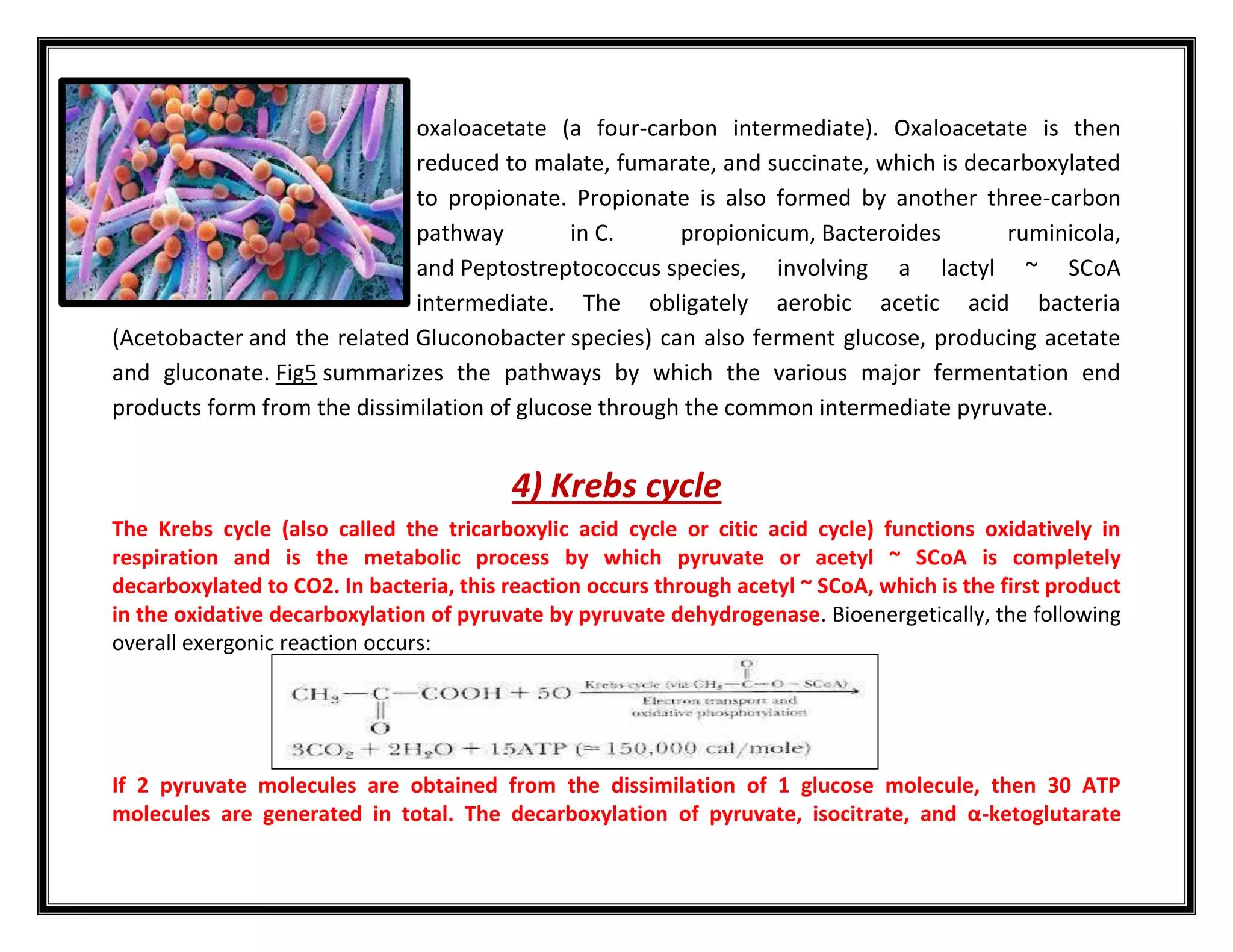 Carbohydrate metabolism in Bacteria.pdf