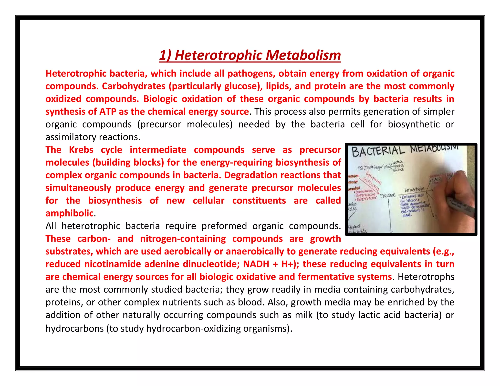 Carbohydrate metabolism in Bacteria.pdf