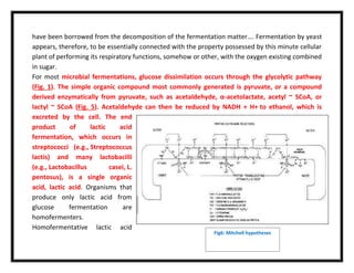 Carbohydrate metabolism in Bacteria.pdf