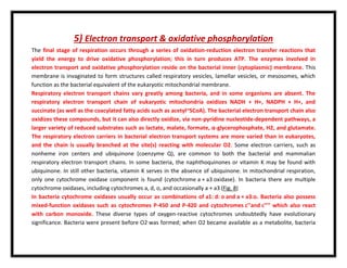 Carbohydrate metabolism in Bacteria.pdf