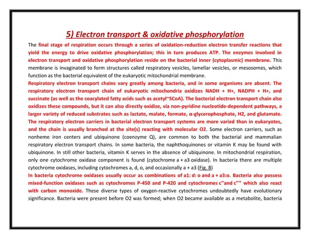 Carbohydrate Metabolism In Bacteria Pdf Chemistry Science