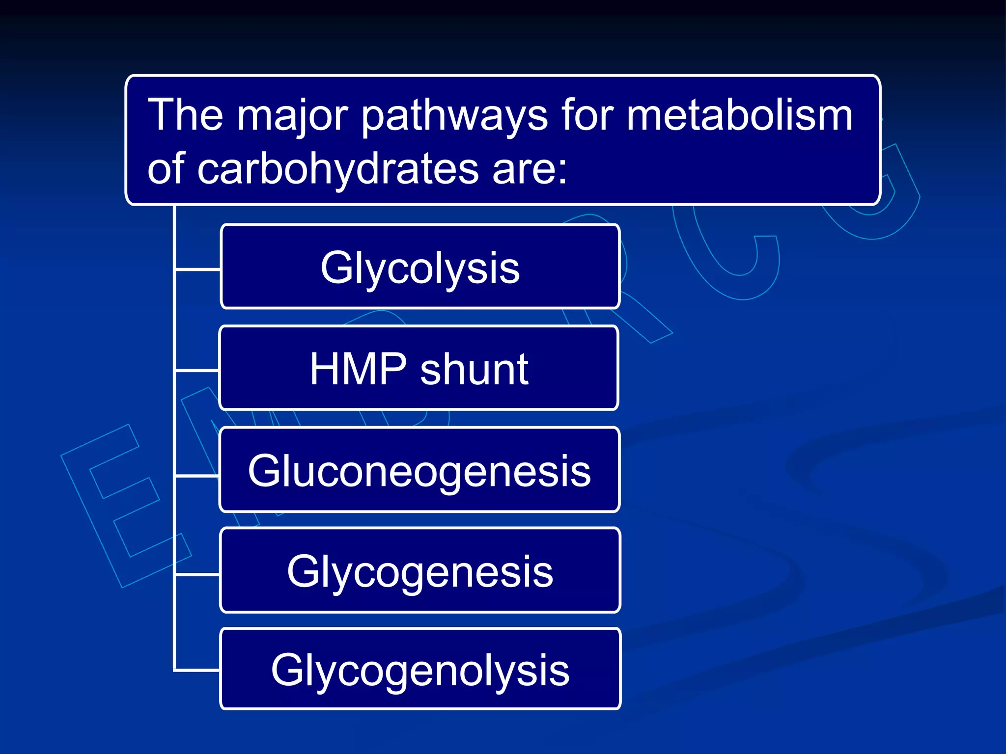 Carbohydrate metabolism minor pathways | PPTX
