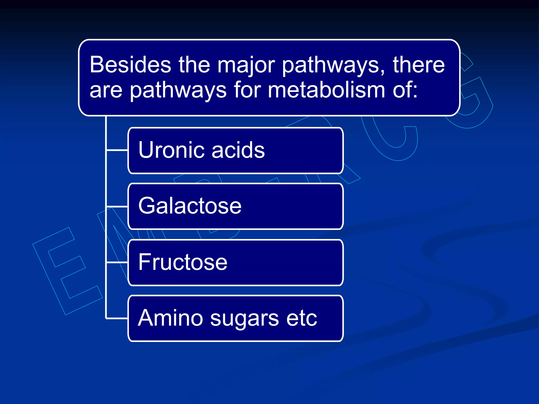 Carbohydrate metabolism minor pathways | PPTX