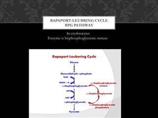 Carbohydrate metabolism modified | PPTX