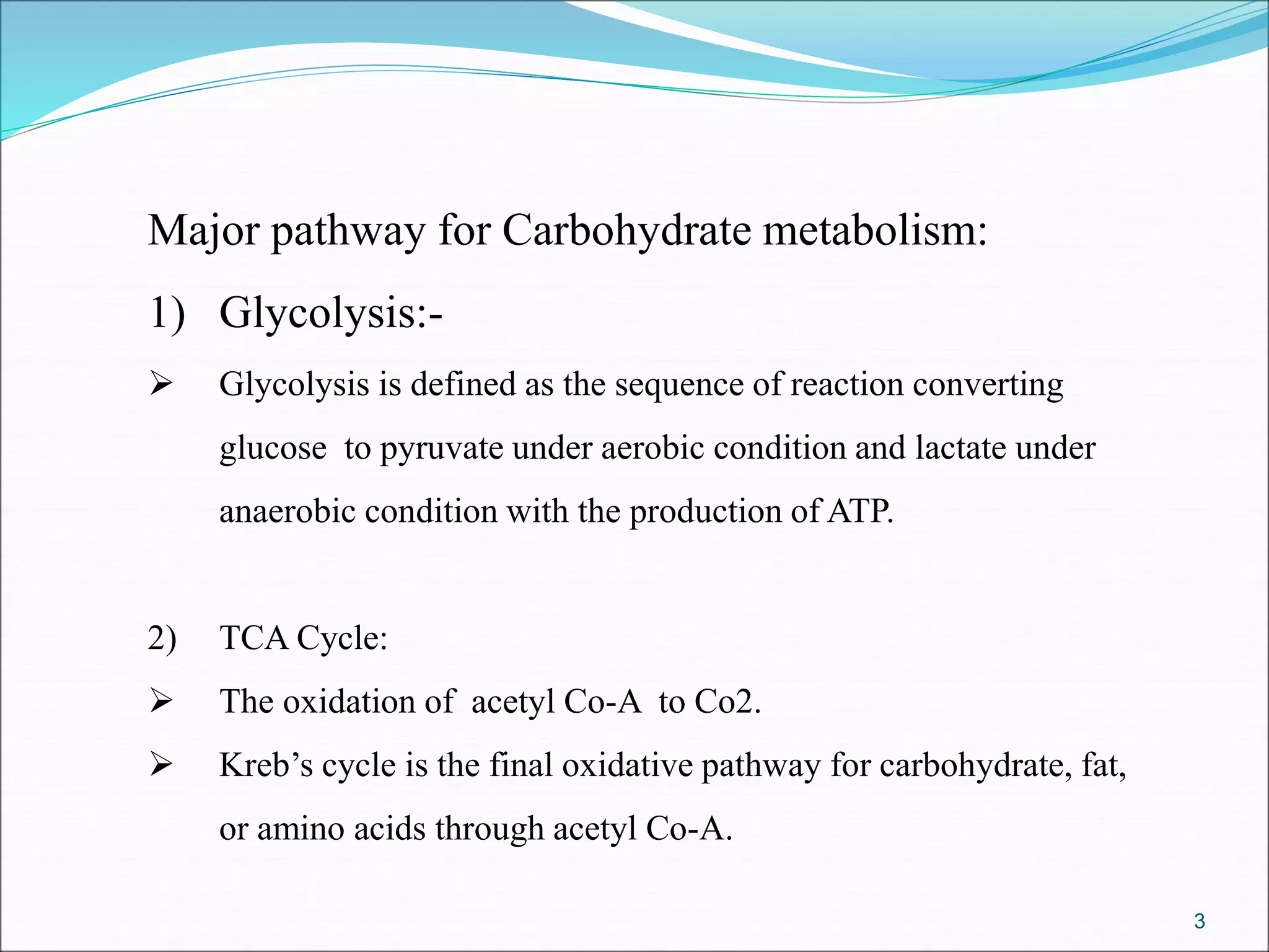 carbohydrate metabolism new.ppt