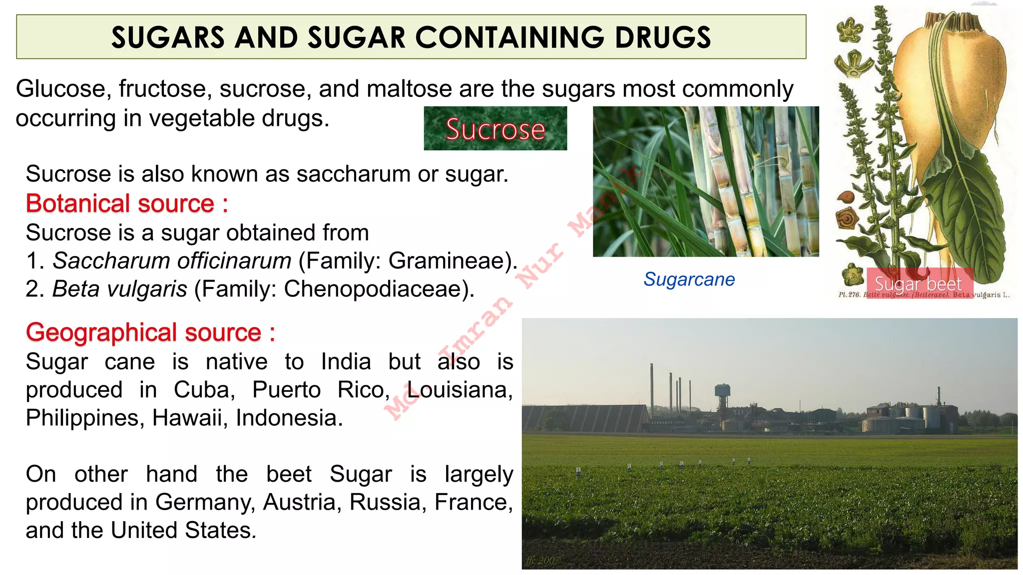 Carbohydrate (Pharmacognosy) MANIK | PDF