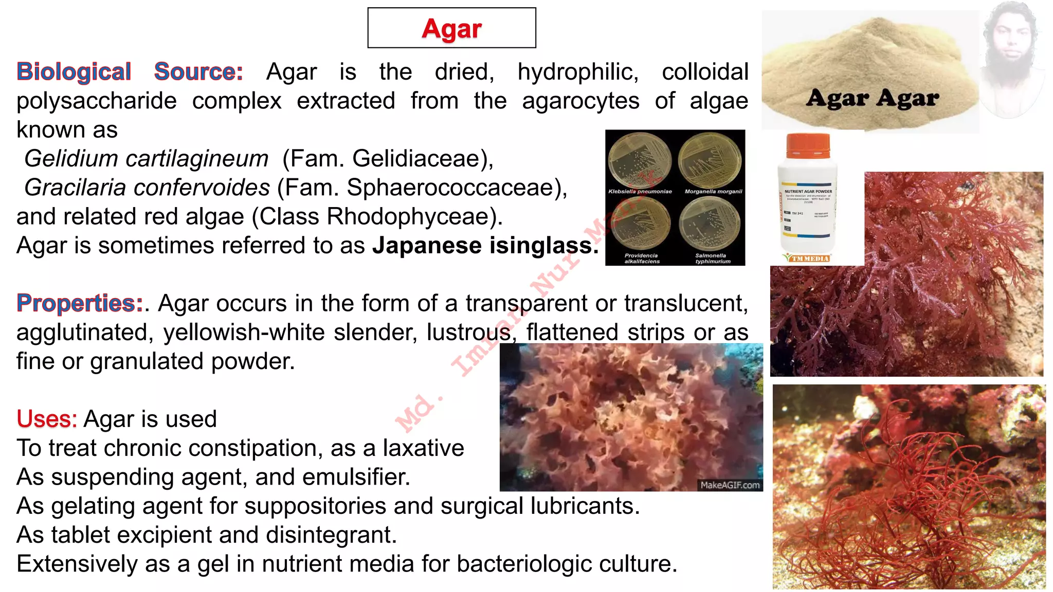 Carbohydrate (Pharmacognosy) MANIK | PDF