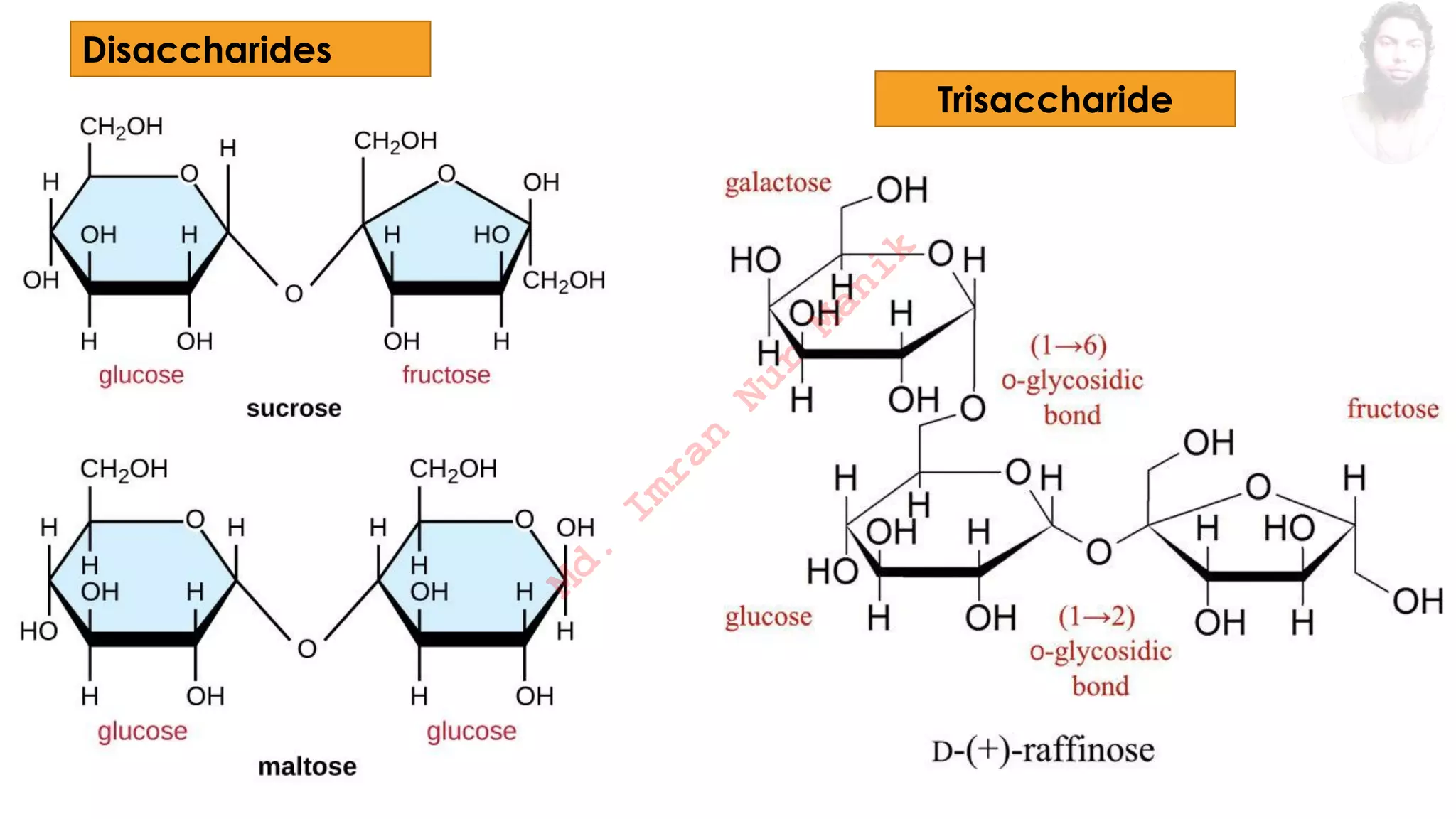 Carbohydrate (Pharmacognosy) MANIK | PDF