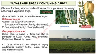 Carbohydrate (Pharmacognosy) MANIK | PDF