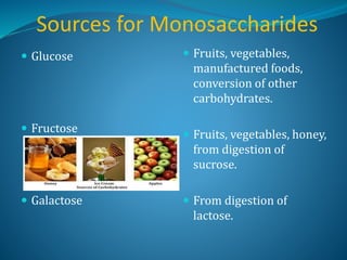 Carbohydrate ppt | PPTX