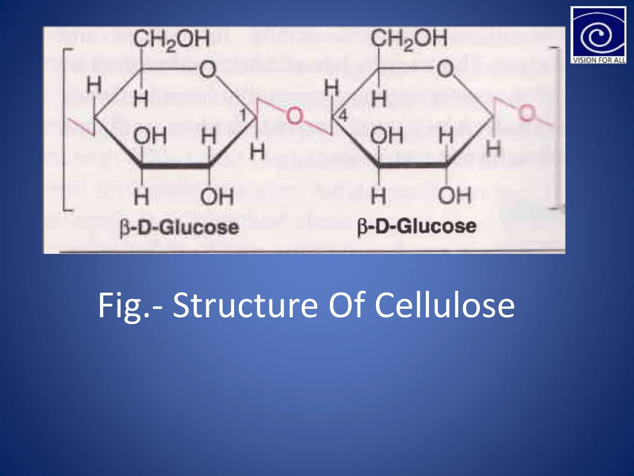 Carbohydrate Biochemistry its uses and types by pradumn.pptx