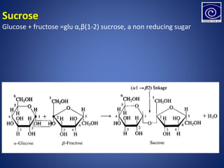 Carbohydrate Biochemistry its uses and types by pradumn.pptx