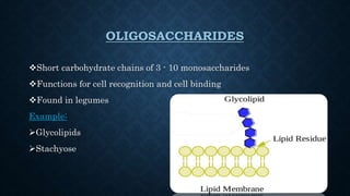 Carbohydrate presentation | PPTX