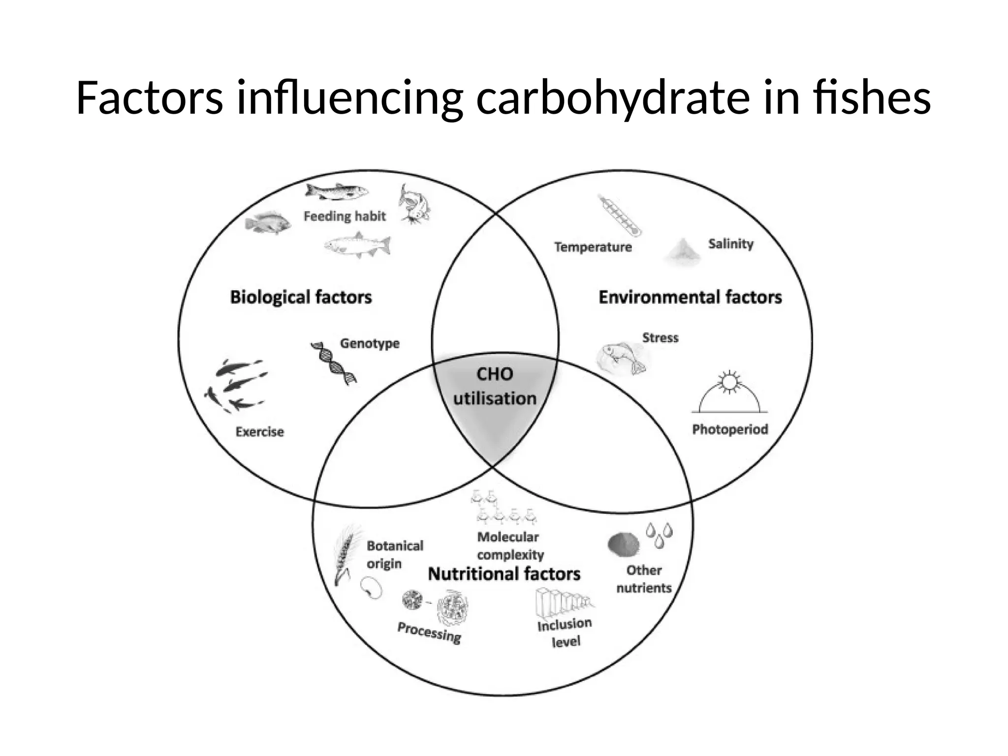 Carbohydrate Requirement of Fishes PG.pptx