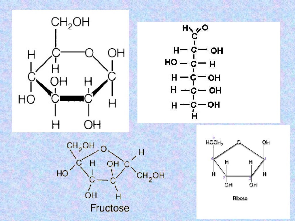 Carbohydrates Structure