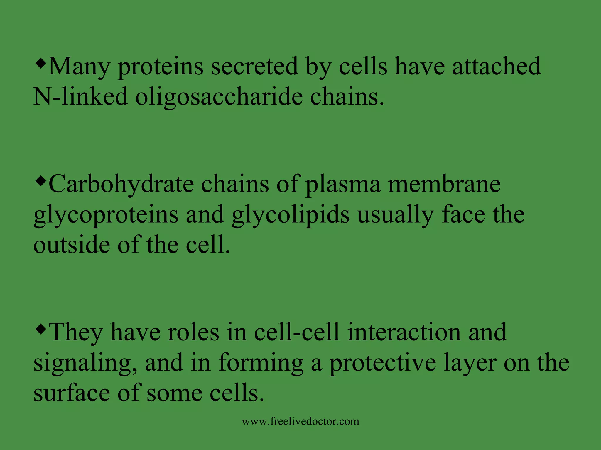 Carbohydrates | PPT