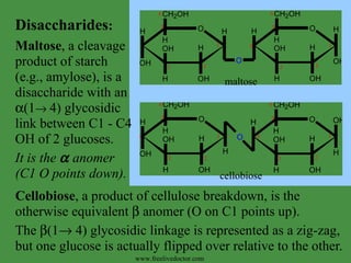 Carbohydrates | PPT | Chemistry | Science