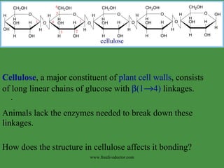 Carbohydrates | PPT | Chemistry | Science