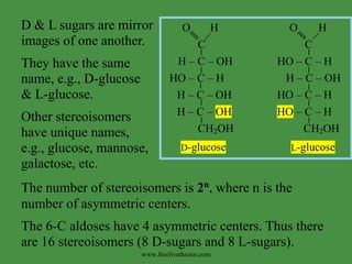 Carbohydrates | PPT | Chemistry | Science