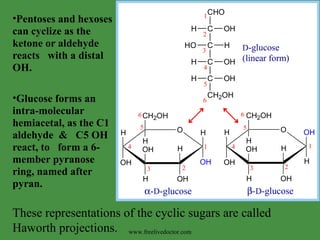 Carbohydrates | PPT | Chemistry | Science