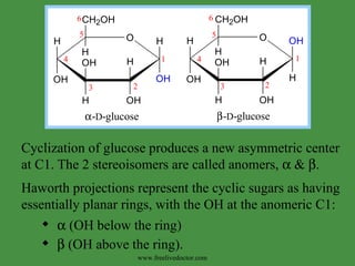 Carbohydrates | PPT | Chemistry | Science