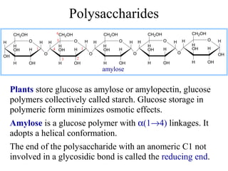 Carbohydrates | PPT