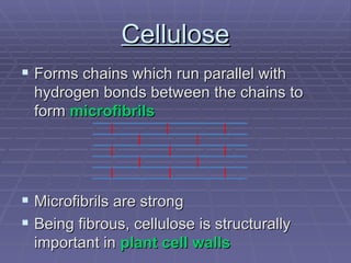 Carbohydrates | PPT