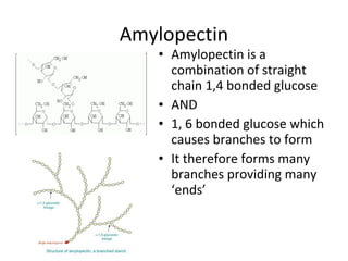 Carbohydrates 130513135303-phpapp01 | PPT