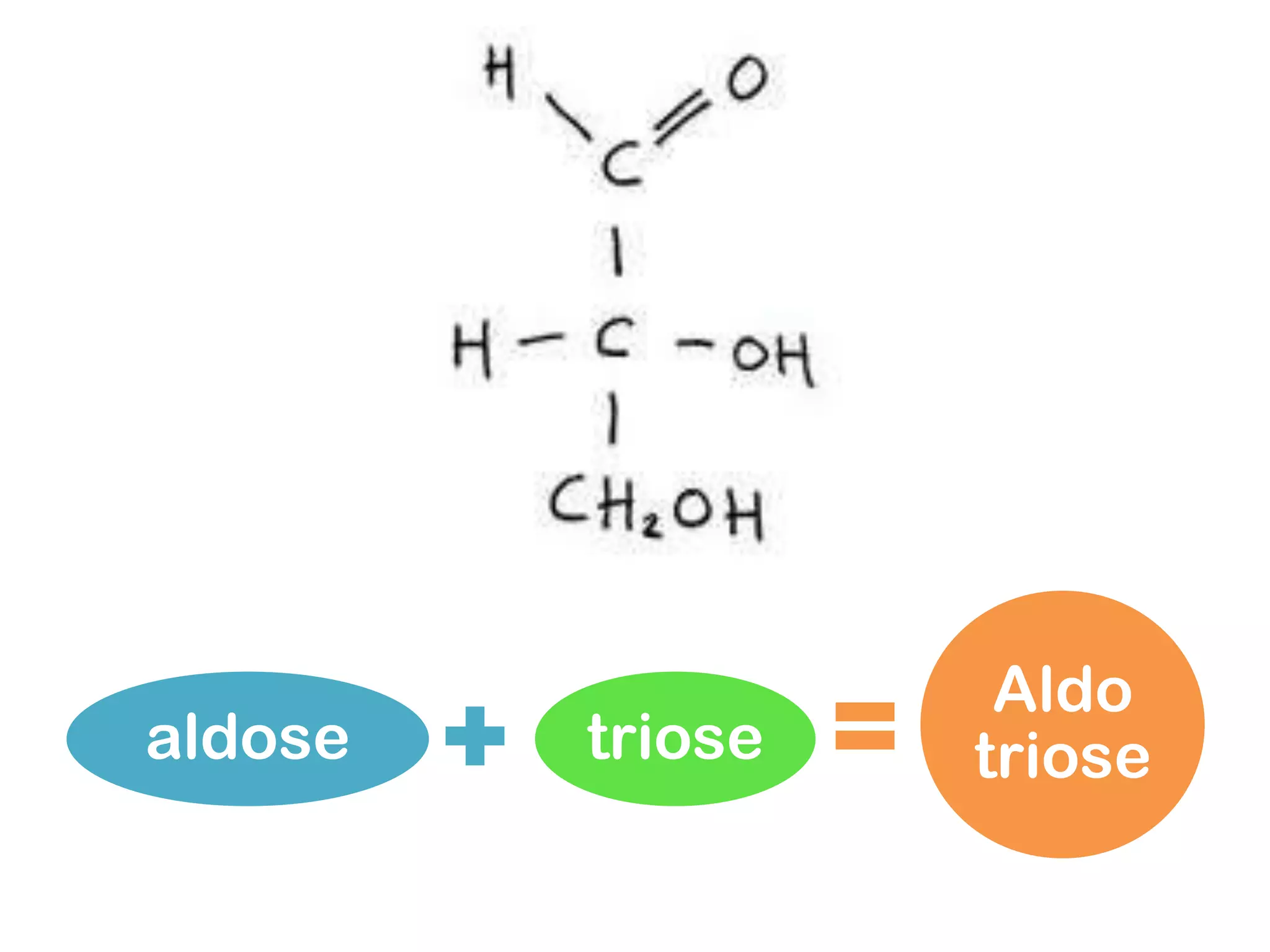 Carbohydrates - Monosaccharides | PPTX