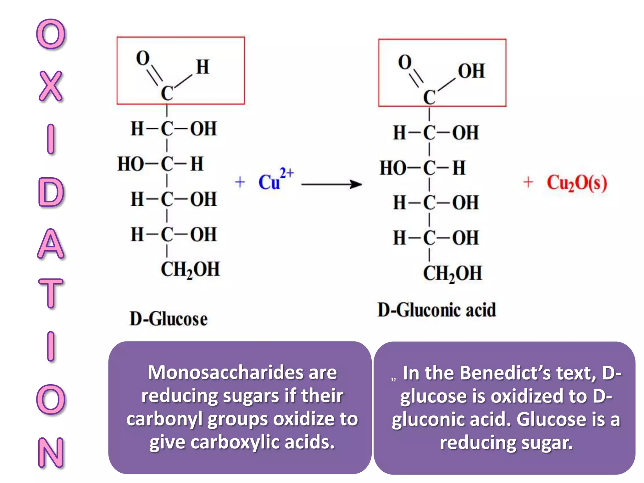 Carbohydrates - Monosaccharides | PPTX