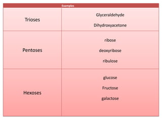 Carbohydrates - Monosaccharides | PPTX