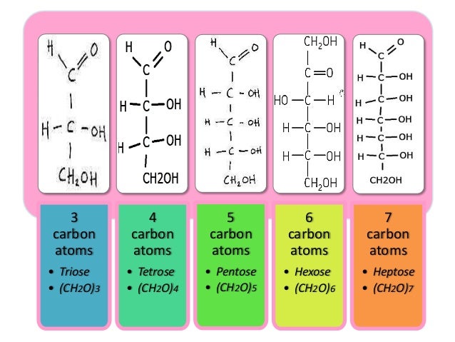 Carbohydrates - Monosaccharides
