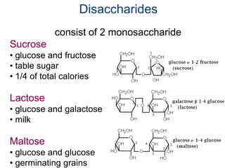 Carbohydrates | PPT