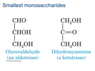 Carbohydrates | PPT