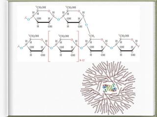 AS Biology Unit 1: Carbohydrates | PPTX