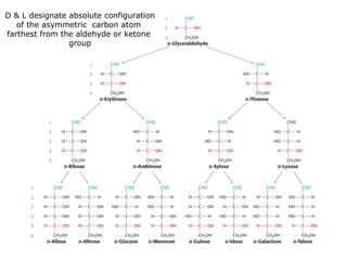 Metabolism of Carbohydrates | PPT