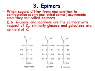 Metabolism of Carbohydrates | PPT