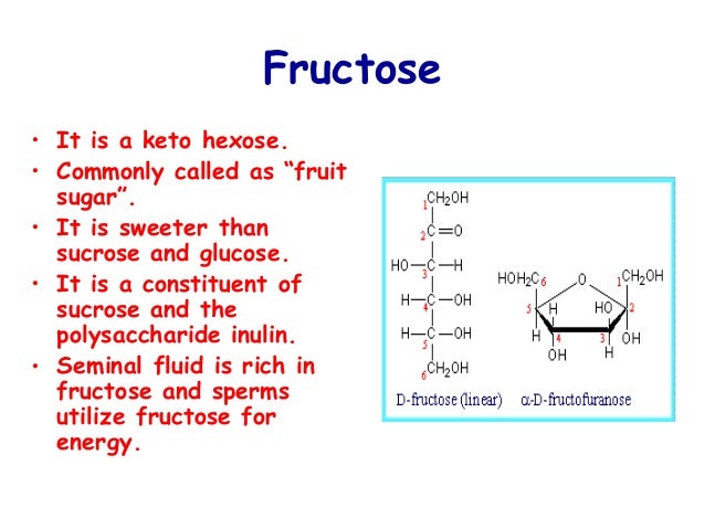 Metabolism of Carbohydrates