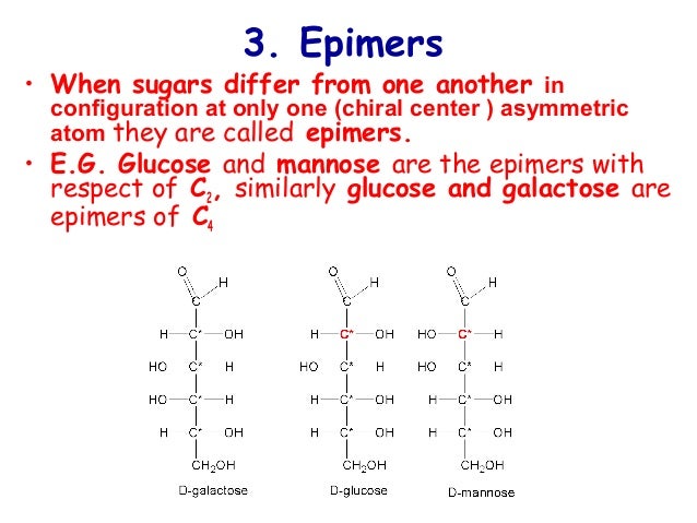 Metabolism of Carbohydrates