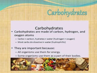 Carbohydrates | PPTX