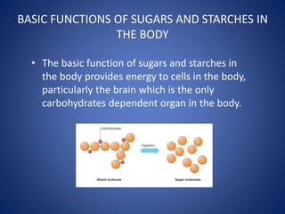 Carbohydrates | PPTX