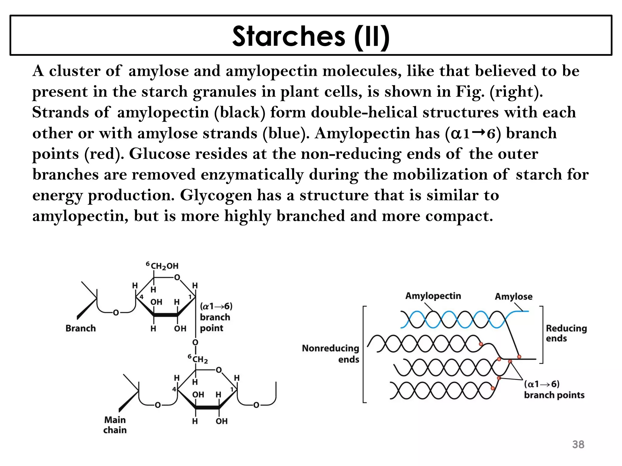 Carbohydrates | PDF