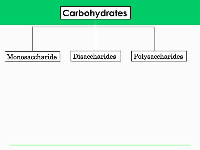 Carbohydrates | PDF | Chemistry | Science