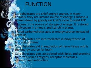 Carbohydrates | PPT